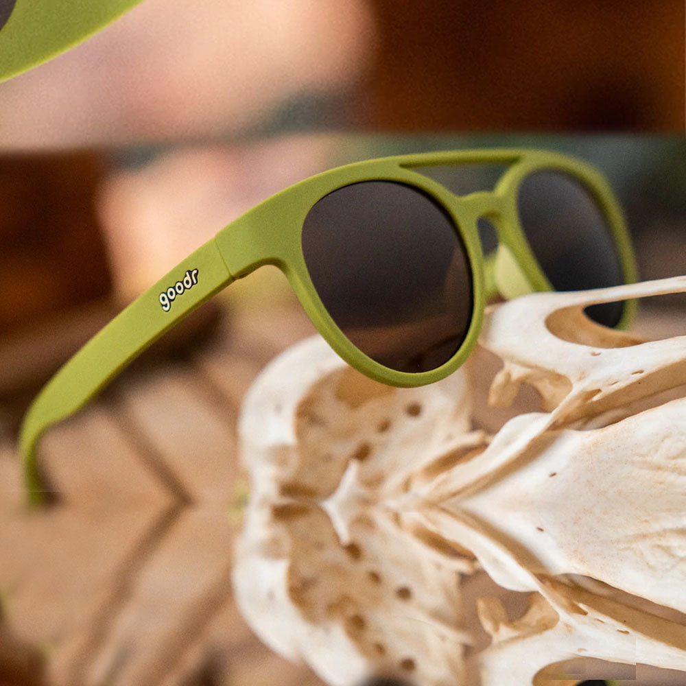 Óculos de Sol Goodr - Fossil Finding Focals– SPORTBR